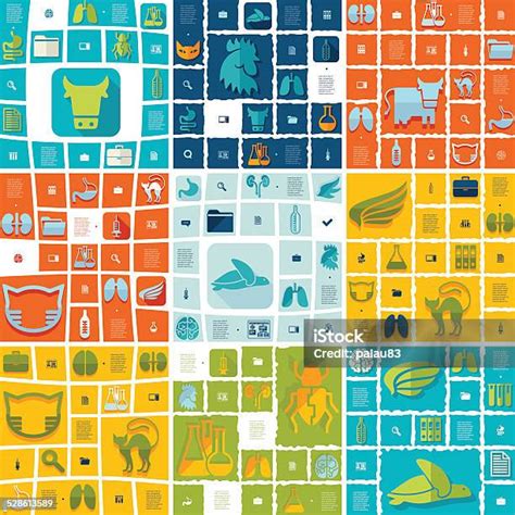 Veterinary Flat Infographic向量圖形及更多信息圖形圖片 信息圖形 健保和醫療 創作性 Istock