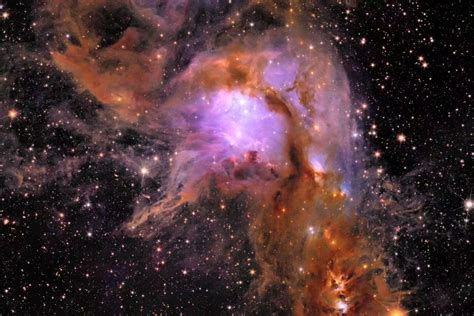 科学网 两院院士评选2023中国世界十大科技进展新闻