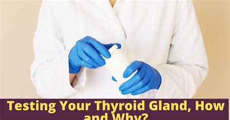 Testing Your Thyroid Gland How And Why DGS Health
