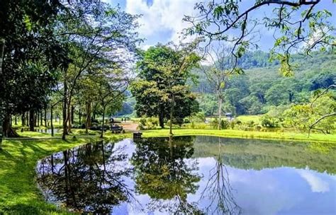 Botanical Gardens In Sri Lanka Ceylon Apex Tours
