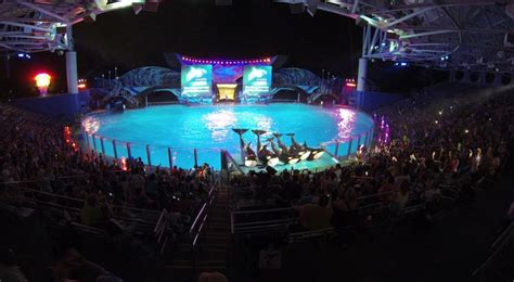 Seaworld Orlando Shamus Celebration Light Up The Night Summer Show