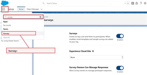 Salesforce Survey
