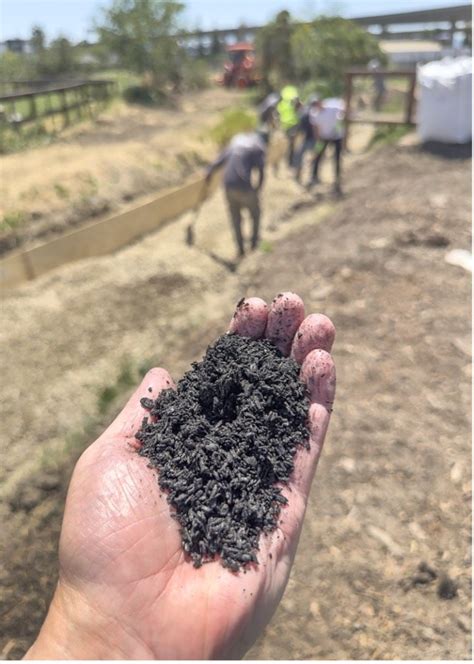 Innovative Carbon Sequestering Bioswale With Biochar Installed At