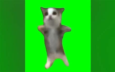 猫ミーム タイピング練習の「マイタイピング」