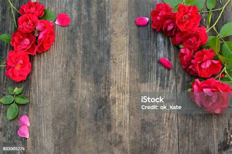 텍스트에 대 한 공간을 가진 나무 배경에 빨간 장미의 프레임 0명에 대한 스톡 사진 및 기타 이미지 0명 꽃 식물 꽃무늬 Istock