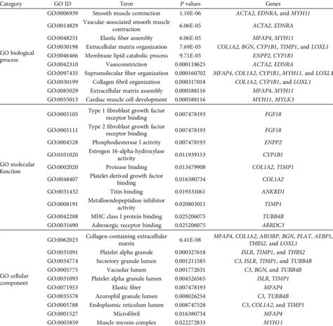 Gene Ontology Analysis Of Common Differentially Expressed Genes Between