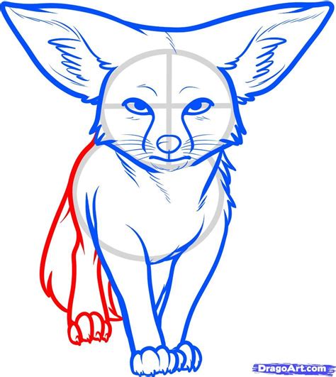 Kit Fox Drawing