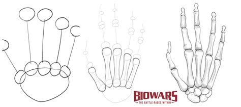 Skeleton Hand Drawing In Steps Video Illustrations