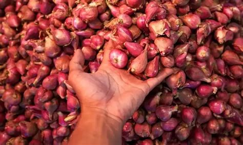 Komoditas Hortikultura Kerek Inflasi November Jadi