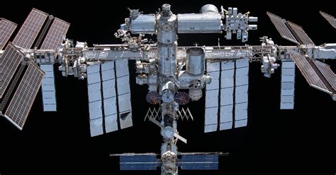 This Is Your Brain In Microgravity
