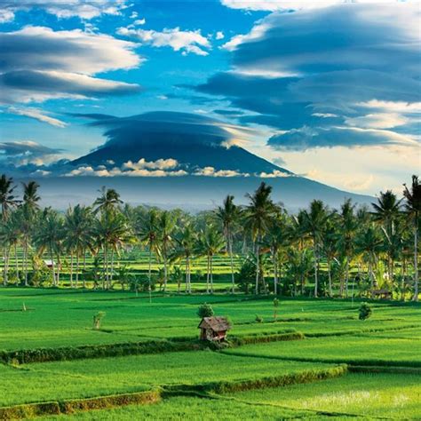 Bali