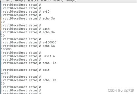 Linux学习 Shell变量的作用域shell变量作用域 Csdn博客