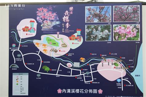 樂活公園櫻花季。熱門春季賞櫻景點，搭捷運就能輕鬆抵達！【台北旅遊台北賞櫻景點】 Janda的旅行