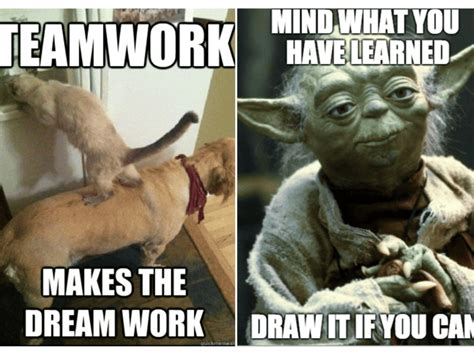 20 Fun Meme Activities For Students Teaching Expertise