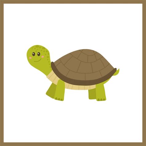 Premium Vector Turtle