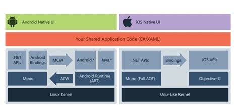 Xamarin University