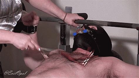 Opal S Evil C Interrogation Mp Hd Evil Opal Clips Sale