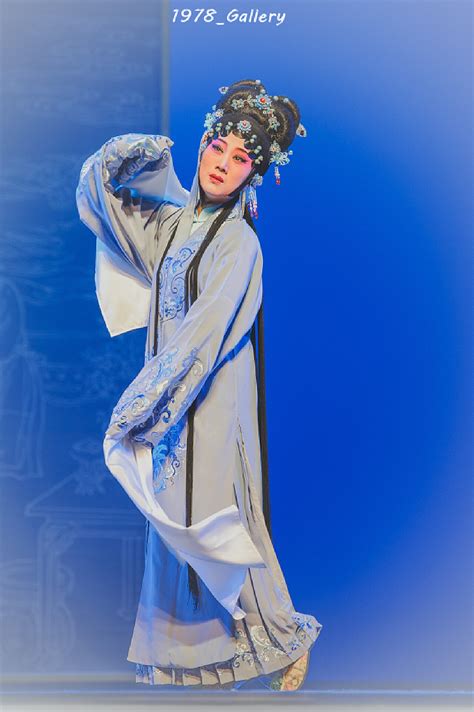 临川四梦之紫钗记（沈昳丽、黎安版） 上海昆剧团1978gallery 站酷zcool