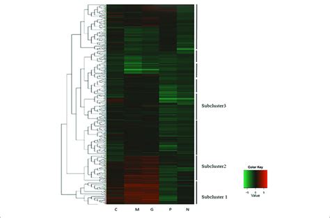 Heatmap Of Hierarchical Clustering Each Column Represents A