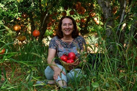 מרינה 60 כפר סבא דייטלאנד