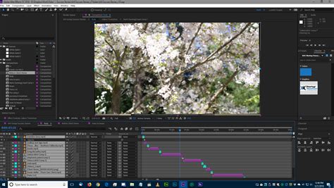 Solved After Effect Custom Workspace Keeps Rearranging It Adobe