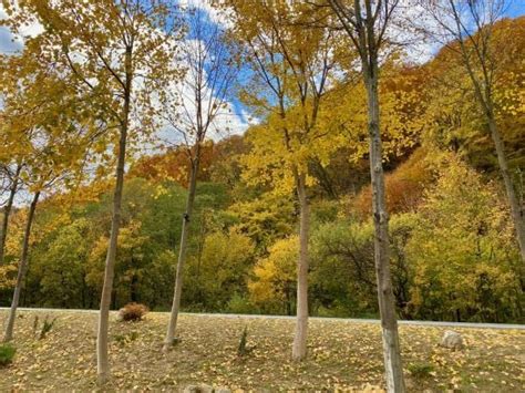 Гороскоп на 30 вересня для всіх знаків зодіаку день коли проблеми