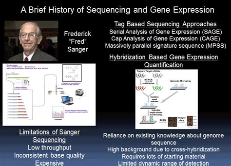 RNA Seq A Tutorial RNA Seq Blog