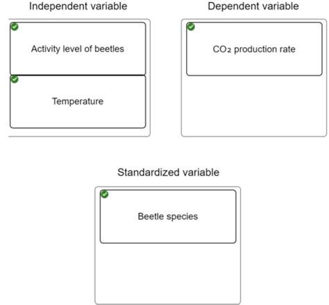 Chapter Hw Flashcards Quizlet