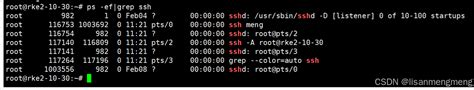 Ssh Ssh X Csdn
