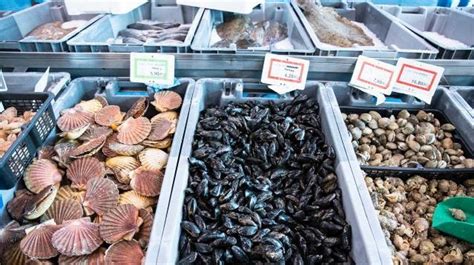 EU And U S Resume Trade Of Bivalve Molluscs News POST Online Media