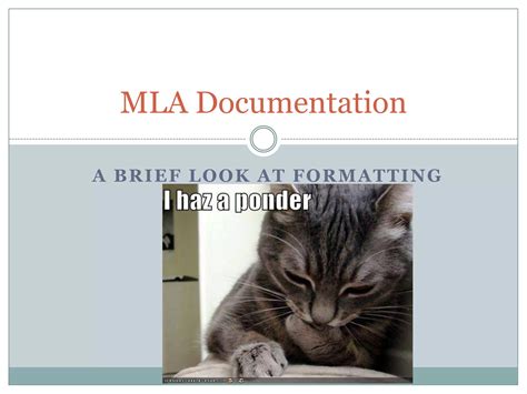 Mla 20 Documentation 1 PPT