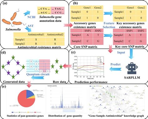 Ai And Quantum Computing Power Groundbreaking Salmonella Antimicrobial Resistance Prediction