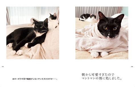 藤あや子さん、ダダ漏れの猫愛が詰まったフォトブック「マルとオレオと藤あや子」 「犬や猫ともっと幸せに」をコンセプトにしたwebメディア