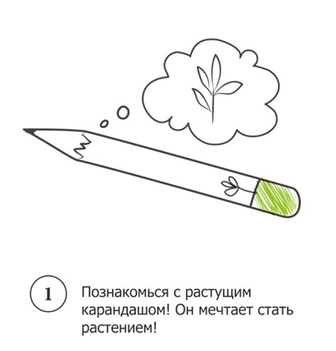 Растущий карандаш. Официальный сайт производителя.