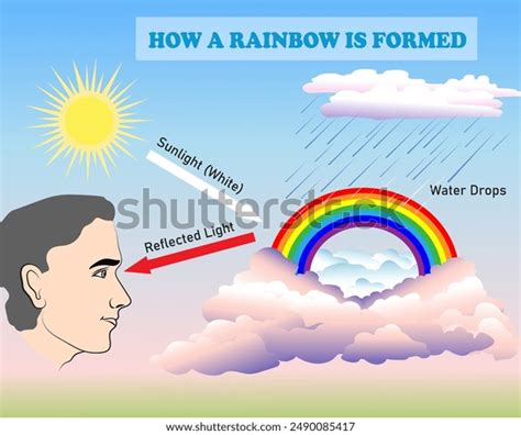 How Rainbow Formed Diagram Science Education Stock Vector Royalty Free 2490085417 Shutterstock
