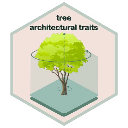 Tree Arch Traits Rproj Main Nicola TreeArchTraits GitLab