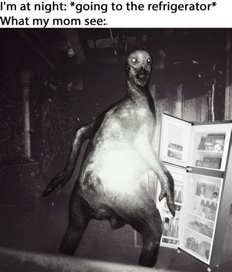 Mom But I Wanna Eat Rdankmemesfromsite19
