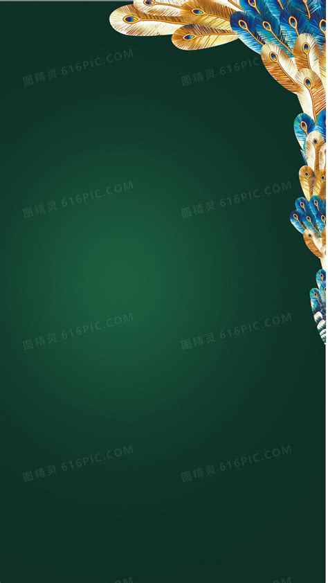 墨绿背景孔雀羽毛5H背景背景图片下载 1080x1920像素JPG格式 编号1mrfqx5nv 图精灵