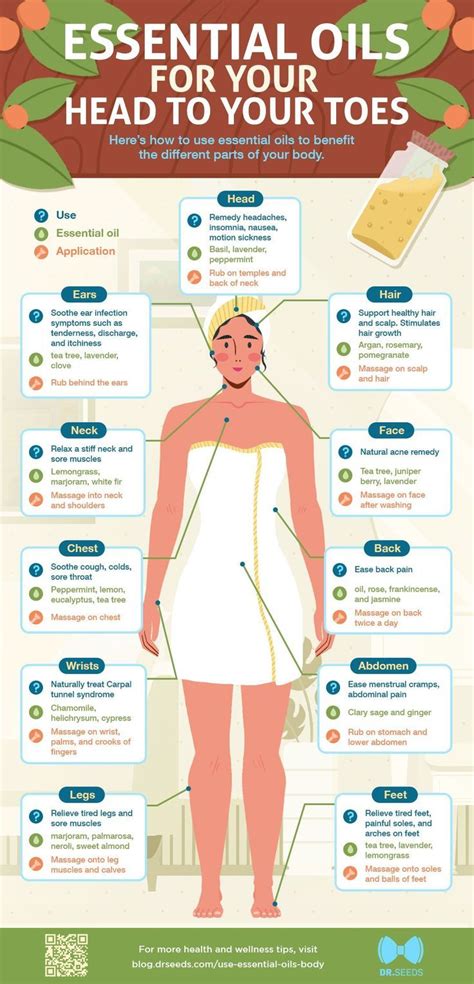How To Use Essential Oils From Head To Toe Essential Oils Health