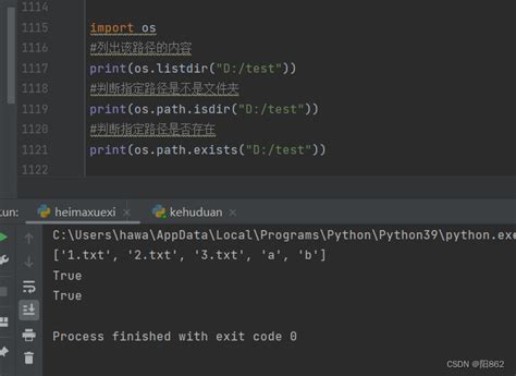Python Python Csdn