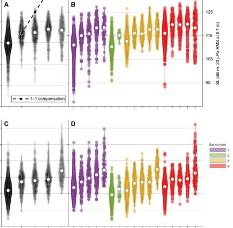 Source And Echo Level Dynamics For The Different Noise Treatments And