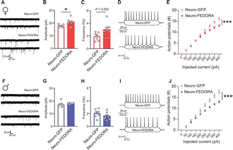 The Long Noncoding Rna Fedora Is A Cell Type And Sex Specific Regulator Of Depression Science