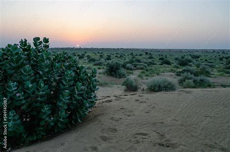Sun Rising At The Horizon Of Thar Desert Rajasthan India Tourists From Across India Visits To
