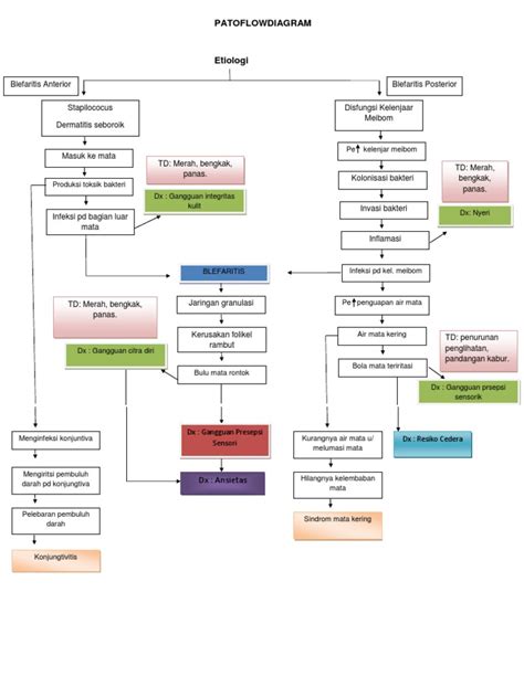 Pathway Blefaritis Pdf