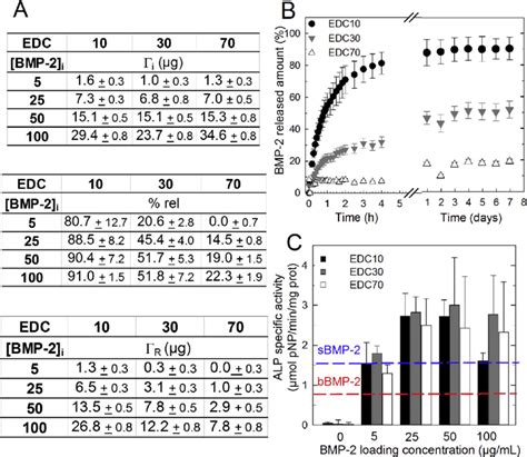 In Vitro Evaluation Of Bmp 2 Loading Release And Bioactivity As