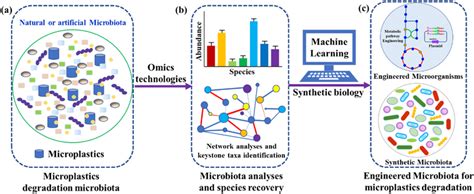 Potential Future Strategy For Microplastics Biodegradation A Screening