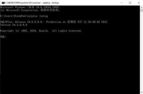 Win10：下载与安装 Oracle19coracle19c客户端下载 Csdn博客
