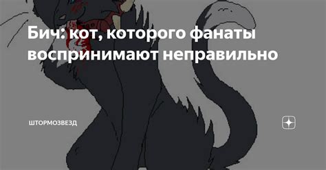 Бич кот которого фанаты воспринимают неправильно Meteora Дзен