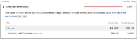 Slow Page Speed From Lottie Animation Text Based Resources Should Be