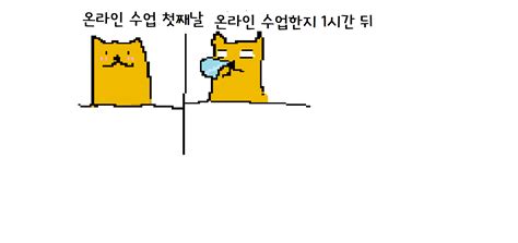 4가지 없는 시바견 짤 스티커 아갈캣 Story